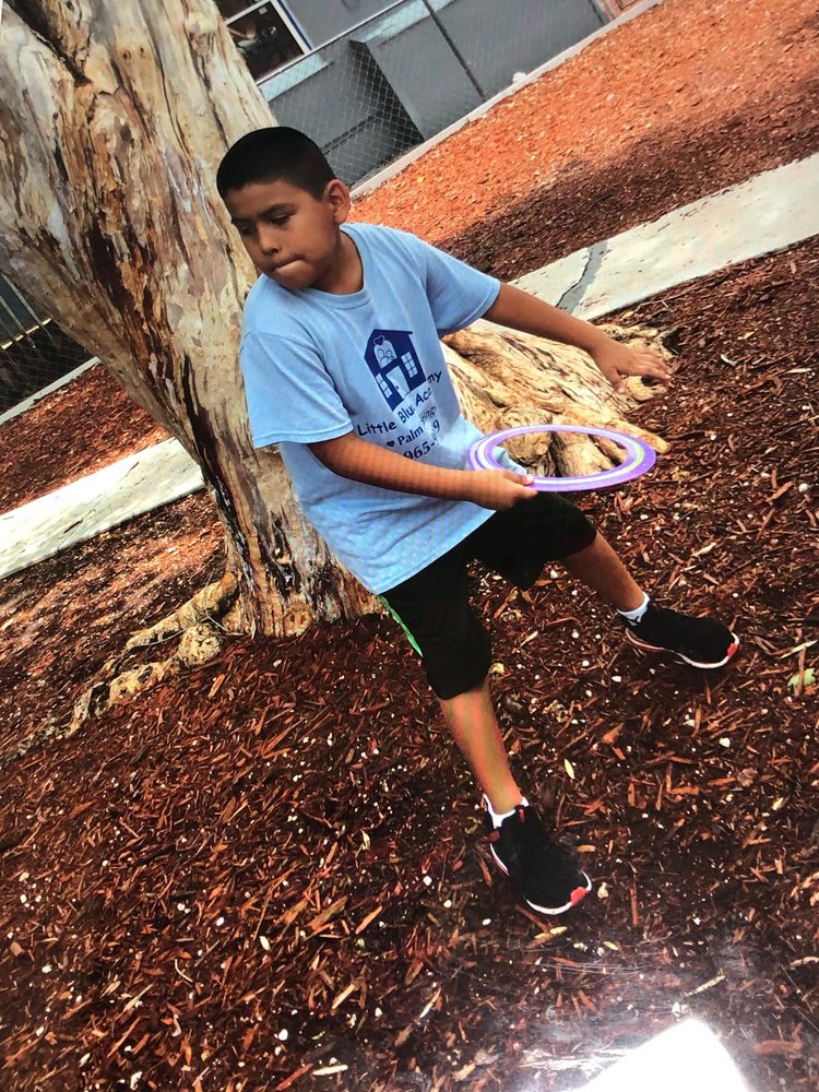 LITTLE BLUE ACADEMY - Updated May 2024 - 2423 S Congress Ave, Palm ...