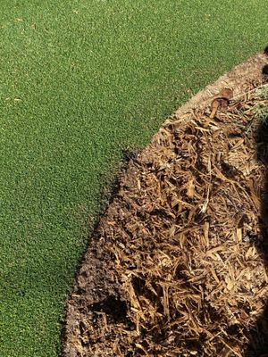 TREE PROS - Updated August 2025 - 52 Photos & 224 Reviews - 2836 W ...