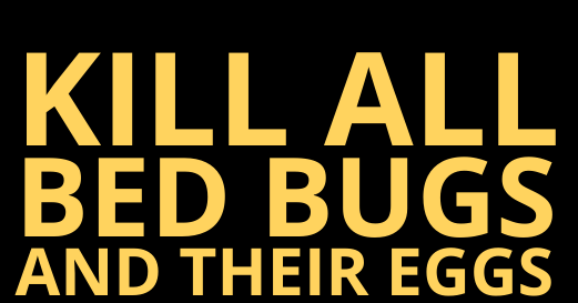 BED BUGS TERMINATOR - Updated July 2025 - 20 Photos - Sarasota, Florida ...