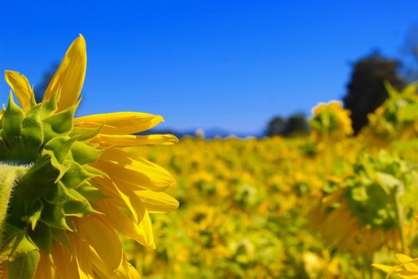 LORA LEE’S FAMILY FARM - Updated September 2024 - 80 Photos & 16 ...