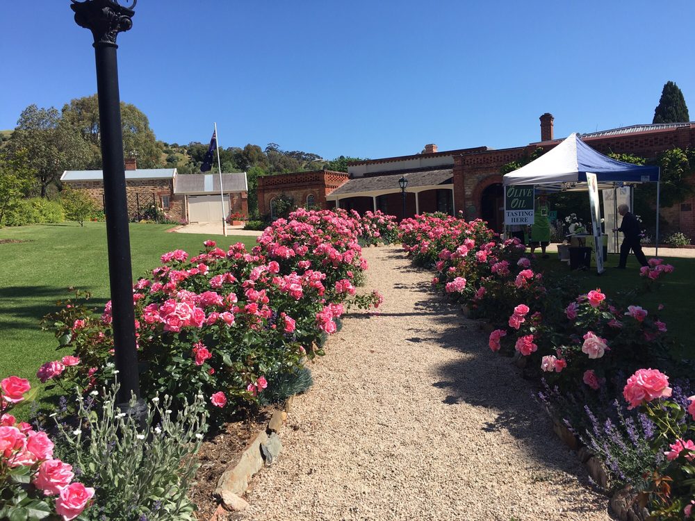 BEAUMONT HOUSE - Updated May 2024 - 15 Photos - Yelp