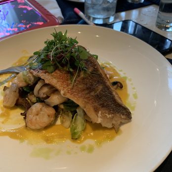 Elia Mediterranean Restaurant - 551 Photos & 191 Reviews ...