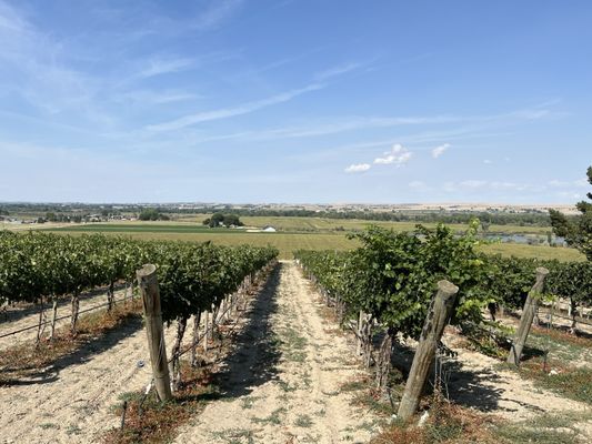 PARMA RIDGE WINERY - Updated December 2025 - 91 Photos & 85 Reviews ...