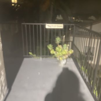 ROOST 374 - Updated August 2025 - 33 Photos & 47 Reviews - 374 Camino ...