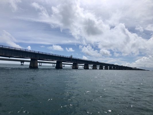 SEVEN MILE BRIDGE - 307 Photos & 70 Reviews - Key West, Florida ...