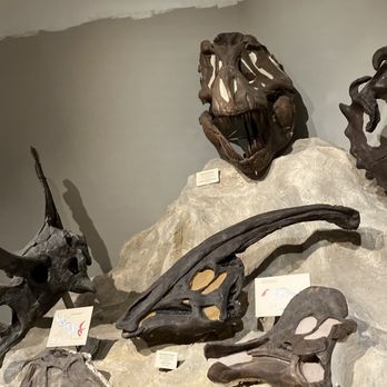 TEXAS SCIENCE & NATURAL HISTORY MUSEUM - Updated October 2025 - 174 ...