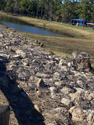 ALEXANDER DEUSSEN PARK - Updated June 2025 - 133 Photos & 54 Reviews ...