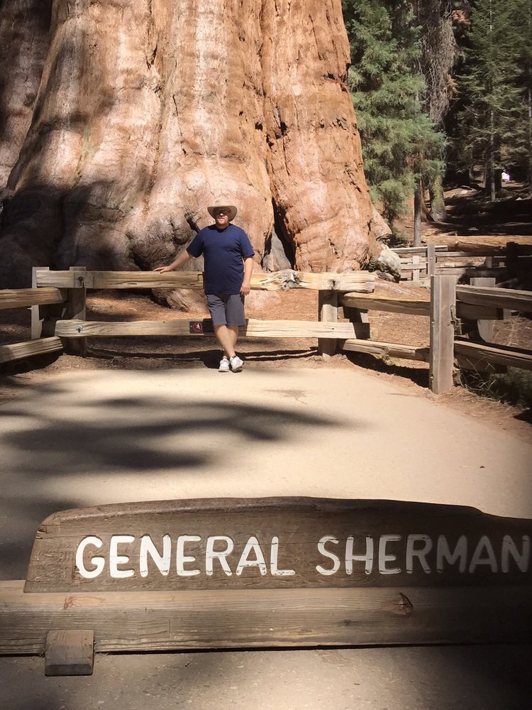 GENERAL SHERMAN TREE - 411 Photos & 104 Reviews - Hiking - Highway 198 ...