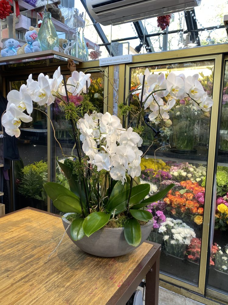 MARIN FLOWERS - Updated May 2024 - 724 Photos & 109 Reviews - 1203 4th ...