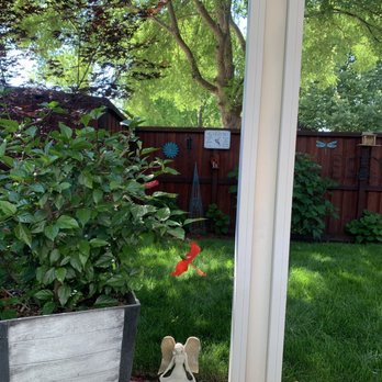 ADVANCED INTEGRATED PEST MANAGEMENT - Updated October 2025 - 39 Photos ...