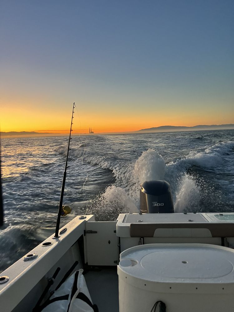 BLUE KNUCKLES SPORT FISHING CHARTER - Updated December 2024 - 24 Photos ...