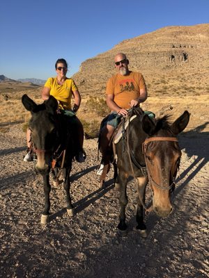 COWBOY TRAIL RIDES - Updated August 2025 - 354 Photos & 180 Reviews ...