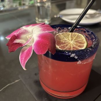 MOLE MEXICAN KITCHEN - Updated October 2025 - 352 Photos & 338 Reviews ...