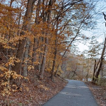 SPEEDWELL PARK - Updated October 2025 - 52 Photos - 288 Speedwell Ave ...