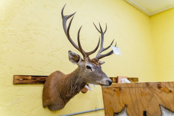 INDEPENDENCE RANCH - Updated February 2025 - 236 Photos & 90 Reviews ...