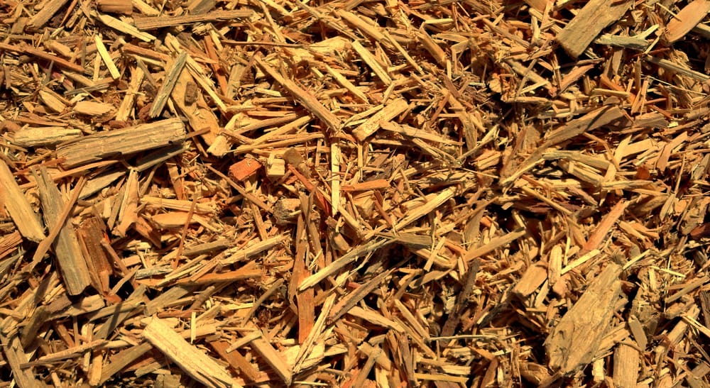 NO WASTE GRINDINGS - Updated September 2025 - 11 Photos & 11 Reviews ...