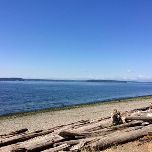 COLMAN POOL - 39 Photos & 37 Reviews - 8603 Fauntleroy Way SW, Seattle ...