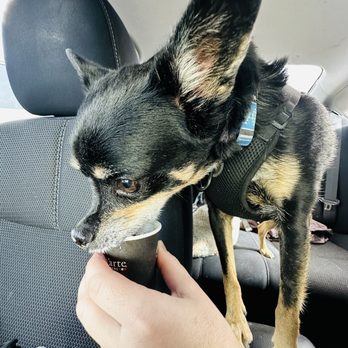 HAVA JAVA - Updated October 2025 - 142 Photos & 277 Reviews - 3166 E ...