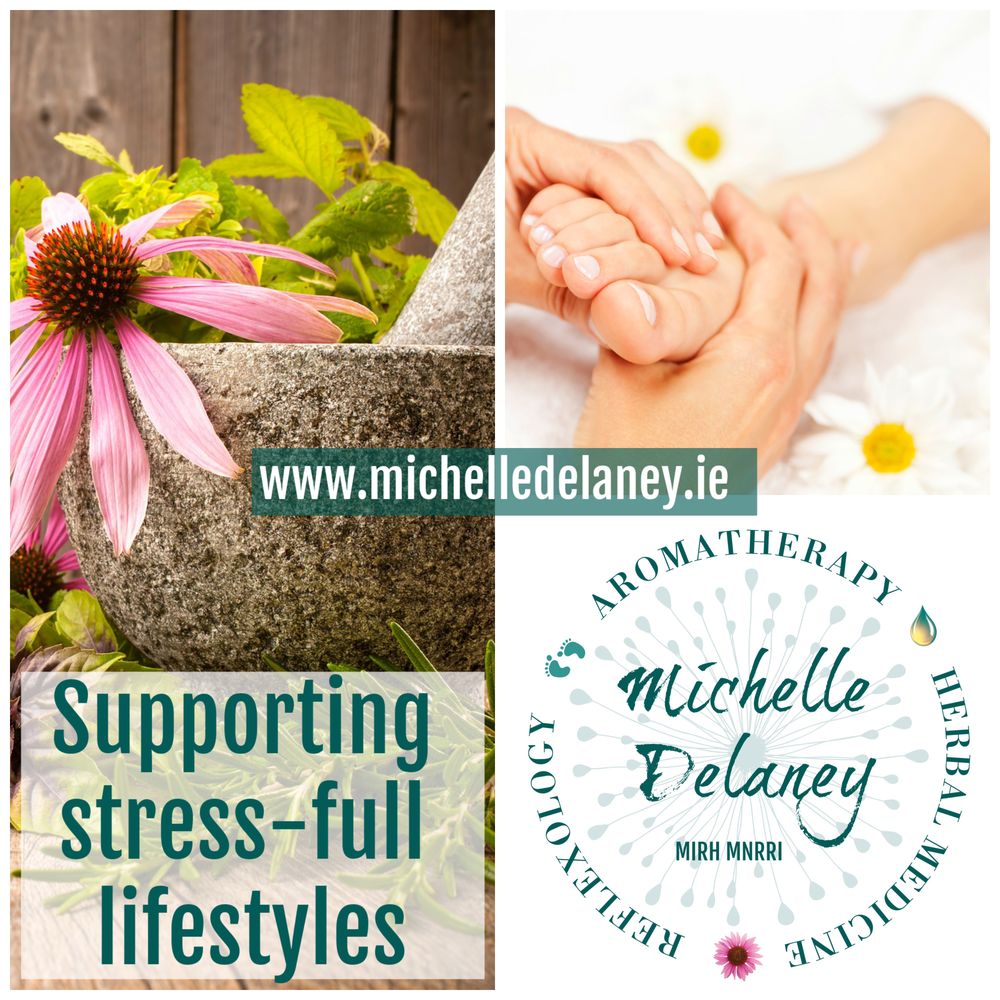 MICHELLE DELANEY - Updated June 2024 - 111 Littlepace Gallops, Dublin ...