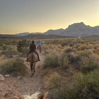 COWBOY TRAIL RIDES - Updated May 2024 - 298 Photos & 159 Reviews - 4053 ...