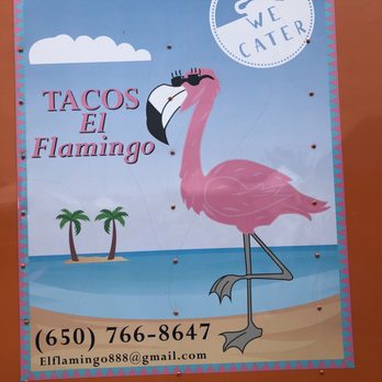 TACOS EL FLAMINGO - Updated December 2025 - 201 Photos & 40 Reviews ...