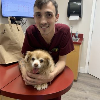 OCEAN AVENUE VETERINARY HOSPITAL - Updated June 2024 - 285 Photos & 755 ...