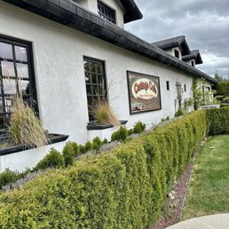 COTTAGE CAFE - Updated July 2025 - 322 Photos & 636 Reviews - 6902 E ...