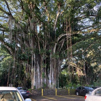 HILO REEDS BAY HOTEL - Updated October 2025 - 62 Photos & 72 Reviews ...