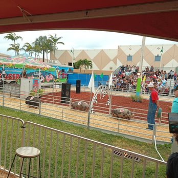 MIAMI-DADE COUNTY FAIR & EXPOSITION - Updated January 2026 - 770 Photos ...