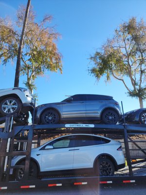 CARVISION - Updated December 2025 - 50 Photos & 99 Reviews - 2791 Nj-73 ...