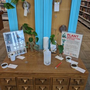 LIBERTY HILL PUBLIC LIBRARY - Updated July 2025 - 355 Lp 332, Liberty ...