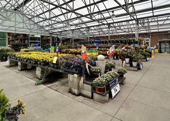 LOWE’S HOME IMPROVEMENT - Updated December 2025 - 11 Photos & 45 ...