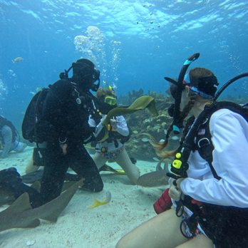 CAPTAIN SLATE’S SCUBA ADVENTURES - Updated December 2025 - 52 Photos ...