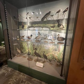 MUSEUM OF SCIENCE - Updated June 2025 - 1618 Photos & 828 Reviews - 1 ...