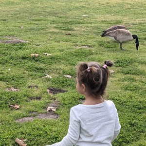 SHIPLEY NATURE CENTER - 289 Photos & 45 Reviews - 17851 Goldenwest St ...