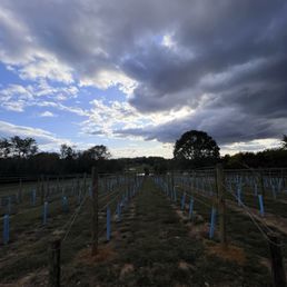 RHONEMUS CELLARS - Updated June 2025 - 26 Photos - 1151 George Rd NE ...