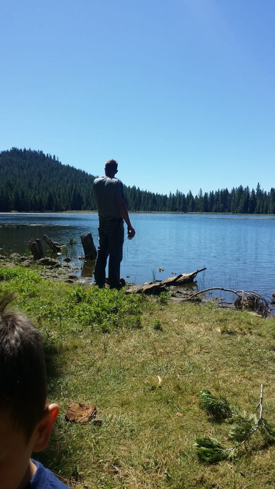 Juanita Lake Campground - Campgrounds - Macdoel, CA - Phone Number - Yelp