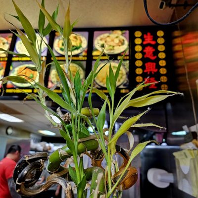 GOOD FRIEND - Updated December 2025 - 15 Photos & 34 Reviews - 181 Pike ...