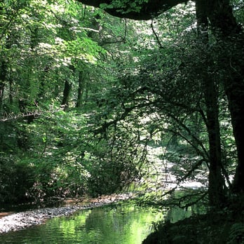 GLENBOWER WOOD - Updated April 2024 - Killeagh, Co. Cork, Republic of ...