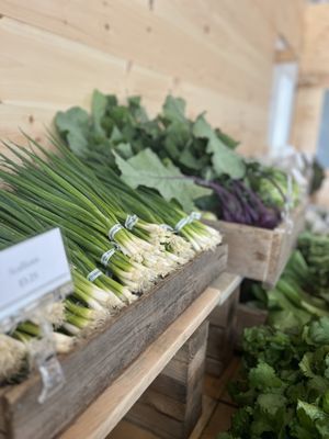 BEECH HILL FARM - Updated December 2025 - 33 Photos & 10 Reviews - 171 ...