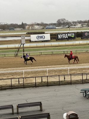 AQUEDUCT RACETRACK - Updated December 2025 - 47 Photos & 31 Reviews ...