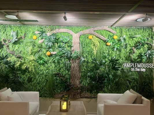 PAMPLEMOUSSE BY THE BAY - Updated August 2024 - 14 Photos - 910 West ...