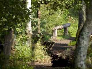 WACKELWALD - Seegasse 20, Bad Buchau, Baden-Württemberg, Germany ...