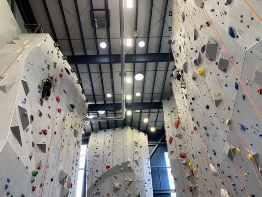 MESA RIM CLIMBING CENTER - NORTH CITY - Updated December 2025 - 60 ...