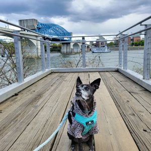 LITTLE DEBBIE PARK - Updated January 2026 - 99 Photos & 20 Reviews ...