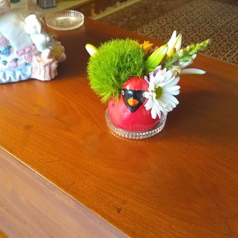 NICOLA FLORA - Updated February 2025 - 307 Photos & 70 Reviews - 1219 ...