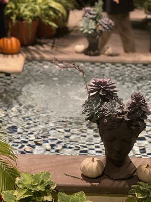 ROGER WILLIAMS PARK BOTANICAL CENTER - Updated February 2025 - 227 ...