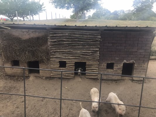 LAYMAN FAMILY FARMS - 56 Photos - 1815 Mountain View Church Rd, Blue ...