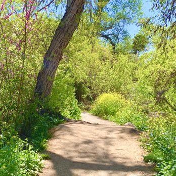 GUAJOME REGIONAL PARK - Updated July 2024 - 369 Photos & 135 Reviews ...