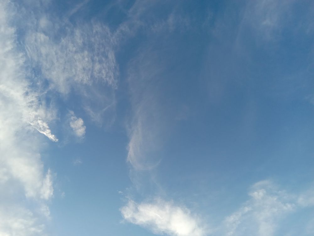 HAEDYN LAWN WORK - Updated July 2024 - Bluffton, South Carolina - Lawn ...